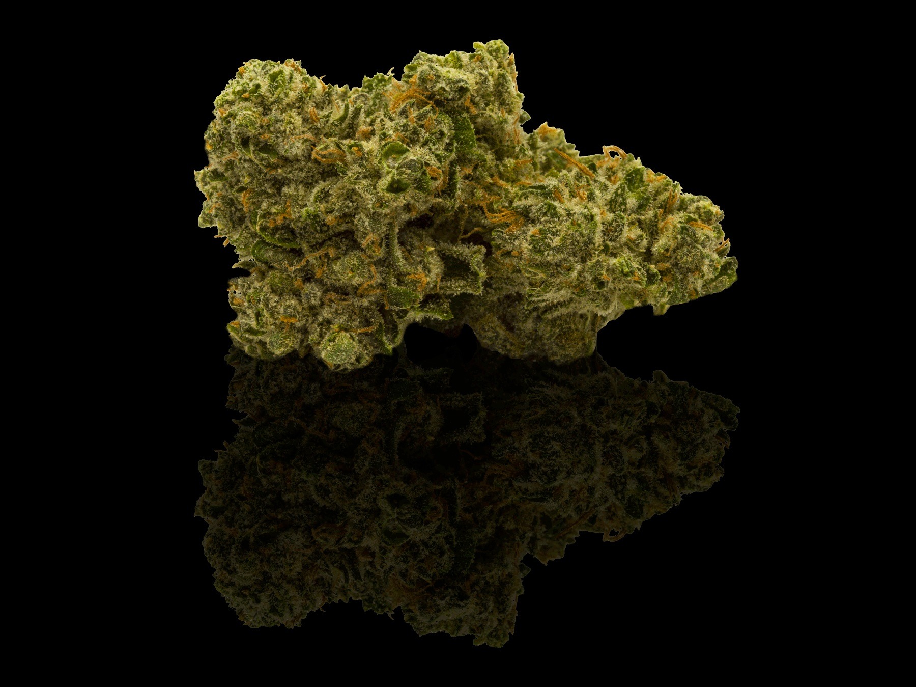 Lemon Sour Diesel | The Bank